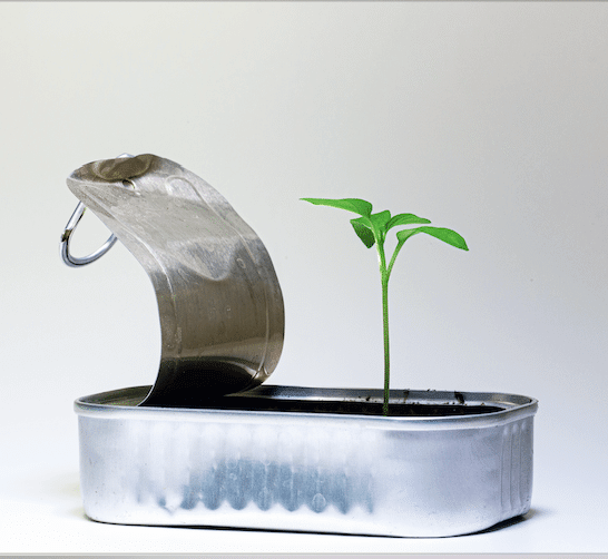 What do start-ups need to succeed, why do they fail, and how can we ...